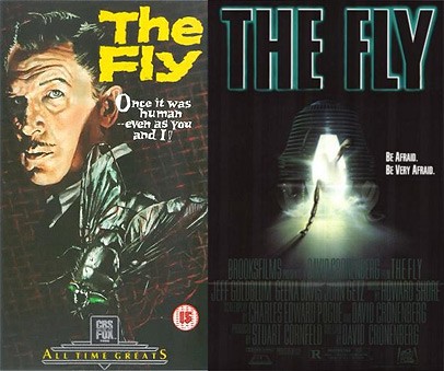 the-fly - Film Inquiry