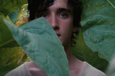 Charlie Nicholson's Instagram, Twitter & Facebook on IDCrawl