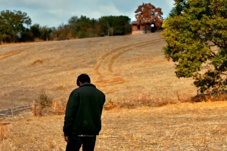 THE WILD PEAR TREE: An Engrossing Study Of An Insufferable Character ...