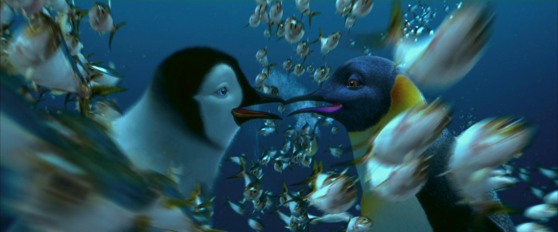 Fish Happy Feet Happy Feet Fish Spa à Sainte Maure Aube Champagne