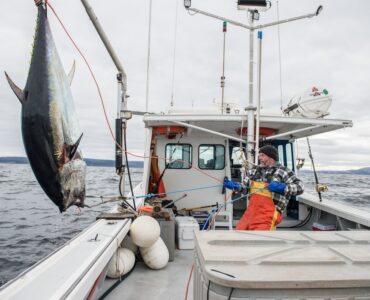 The Essential Structure Of Romantic Comedies - Film Inquiry